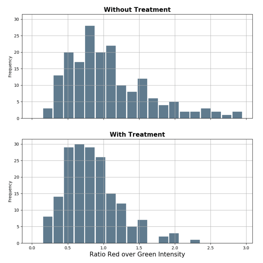 How arivis Cloud Can Support in Cancer Research