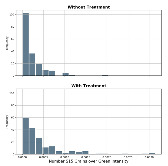 How arivis Cloud Can Support in Cancer Research