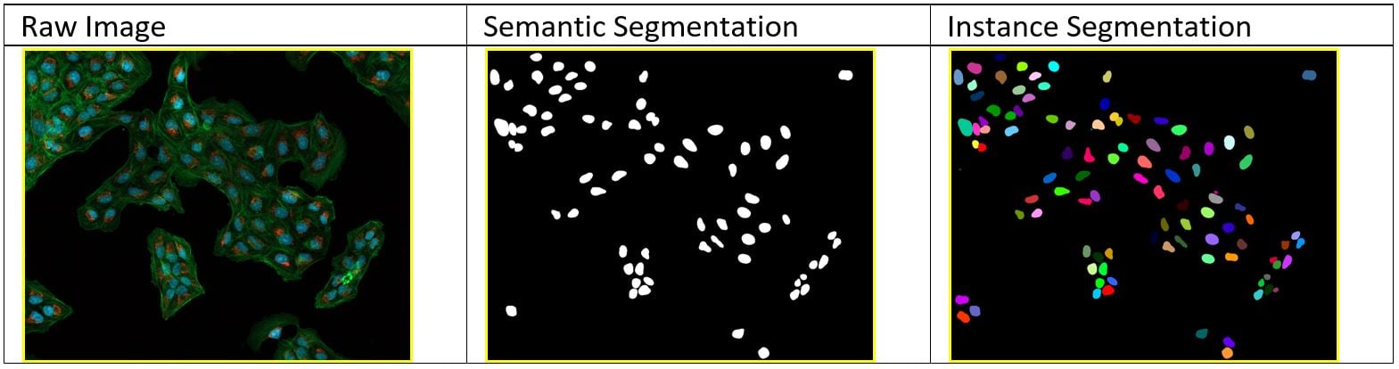 What is semantic and instance segmentation?