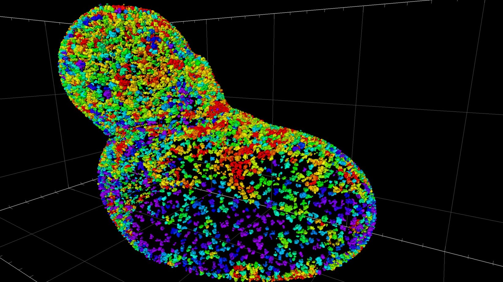 arivis and ZEISS at Neuroscience 2022