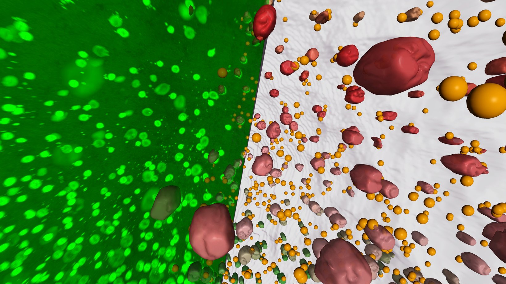 arivis & ZEISS at ELMI & Analytica 2022