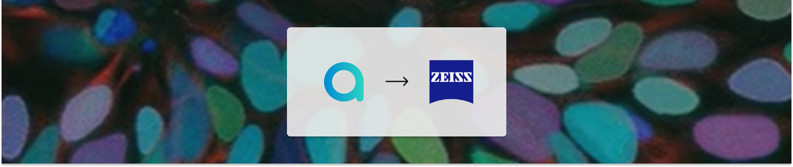ZEISS is excited to announce the evolution of APEER into arivis